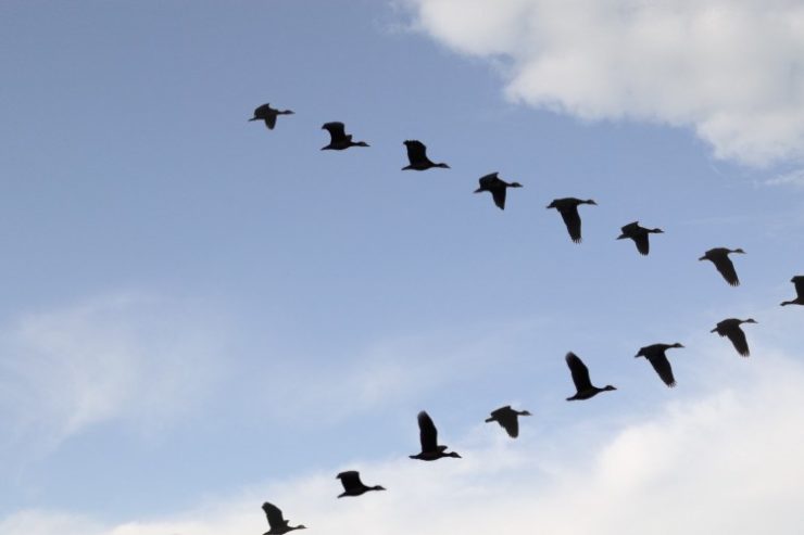 The Love / Freedom Connection | Spiritual Tools for an Outrageous World